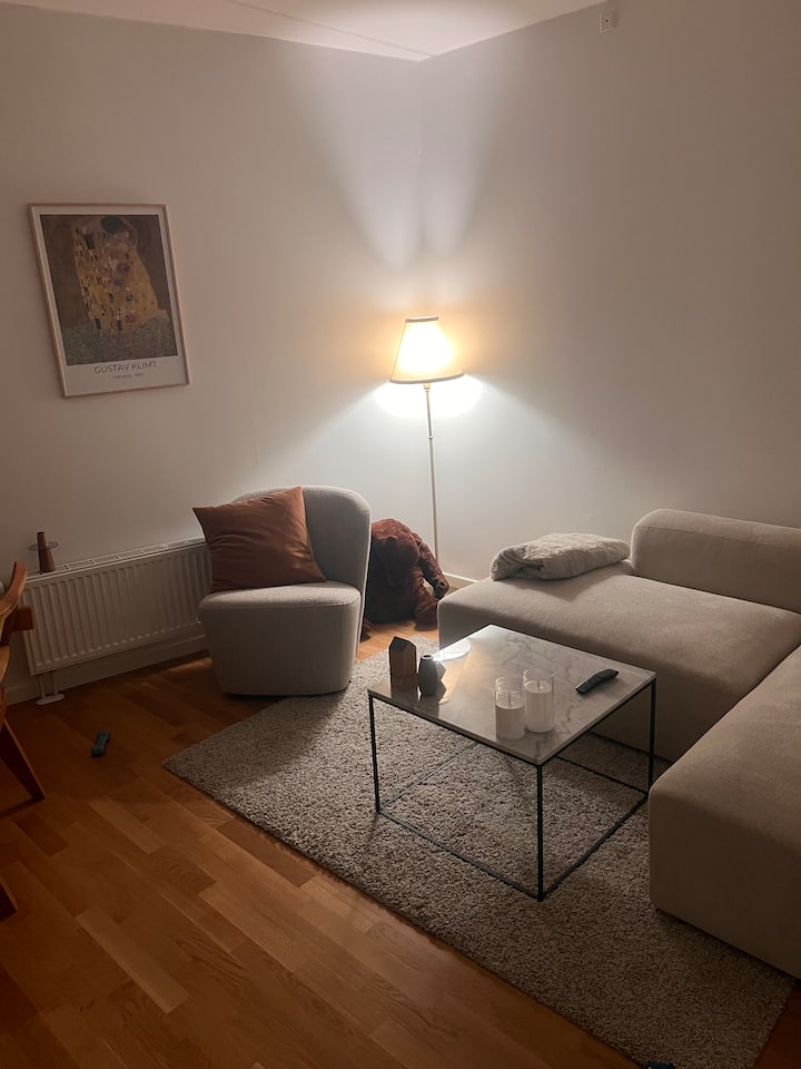 Newly Furnished Apartment In The Heart Of Odense C - Odense