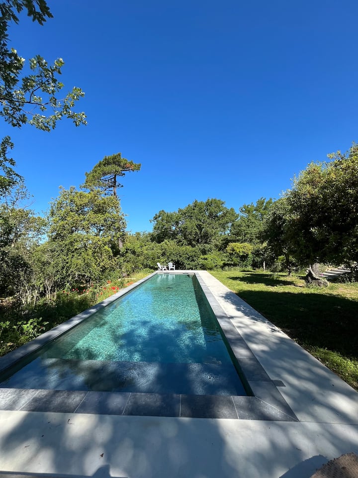 Maison Dans Les Bois- Piscine 16m- Calme Et Nature - Fayence