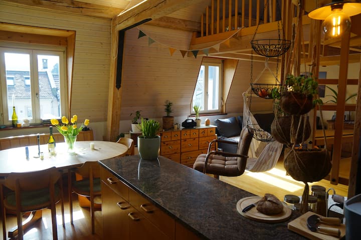 Wunderschöne 2 Zimmer-galerie-whg Mit Garten - Bern