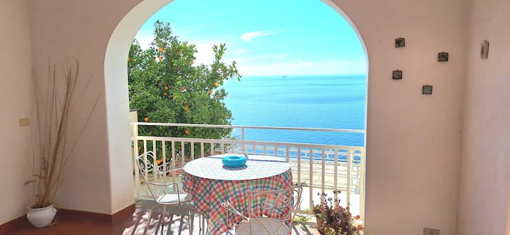 Les Paons - Terrazza Vista Mare Positano - Positano