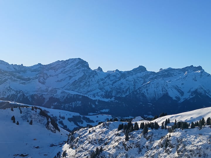 Peace - Villars-sur-Ollon