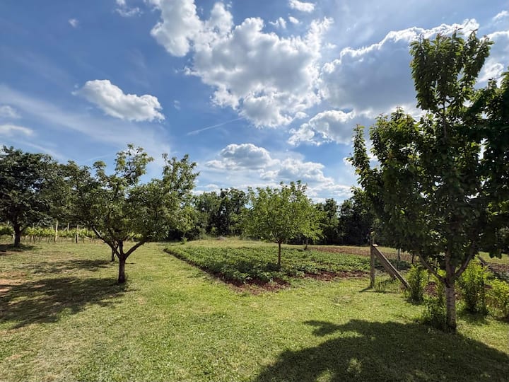 Villa Green Garden In Imotski, Private Pool - Imotski