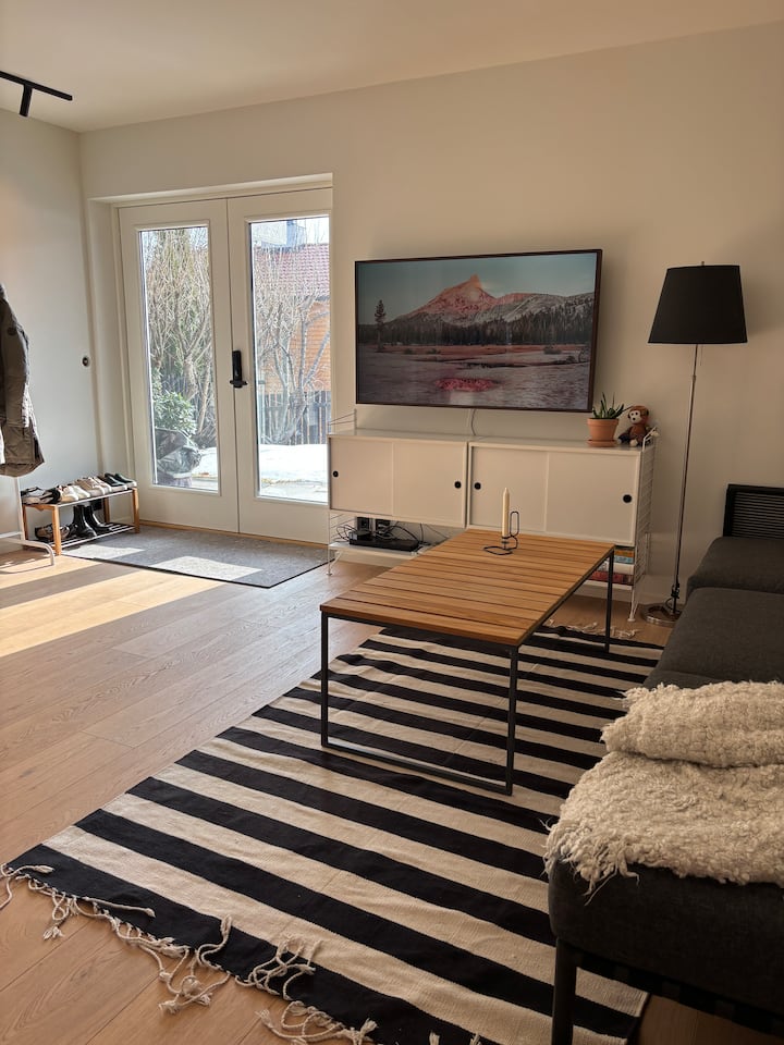 Lyst Og Sentralt Med Uteplass - Oslo