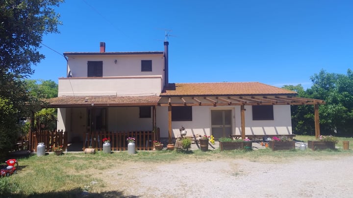 Il Podere - Grosseto