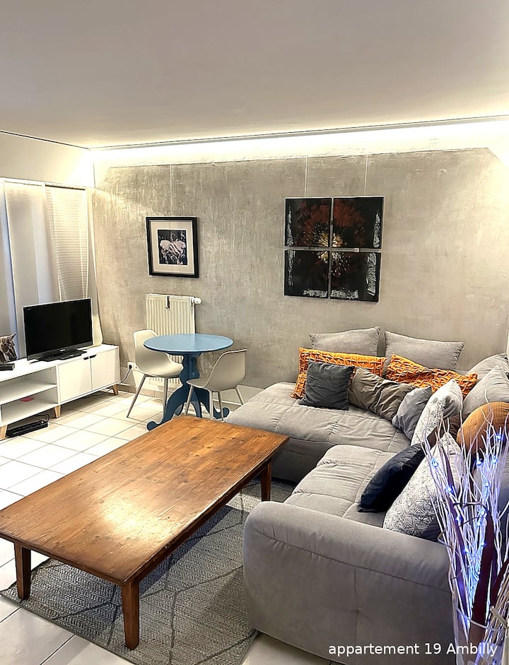 Appartement Cosy Avec Jardin Proche Genève - Annemasse