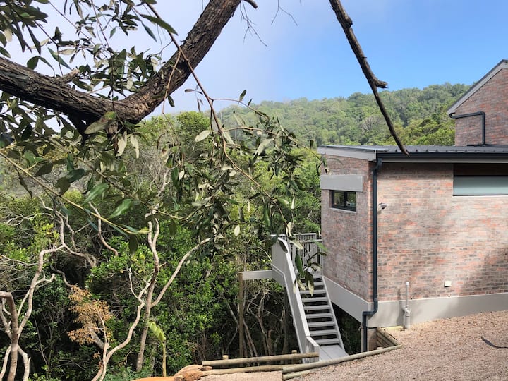 Rainforest Studio | Wilderness | Constantia Kloof - Wilderness