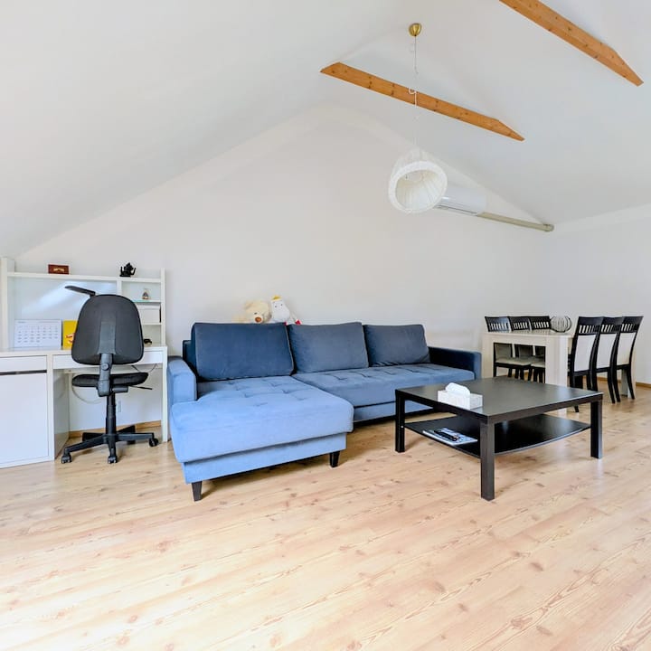 Päikesepaisteline Katusekorter - Tallinn