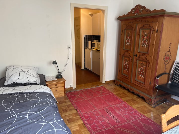 No Frills 1 Room Flat In Gva - Plainpalais - Geneva