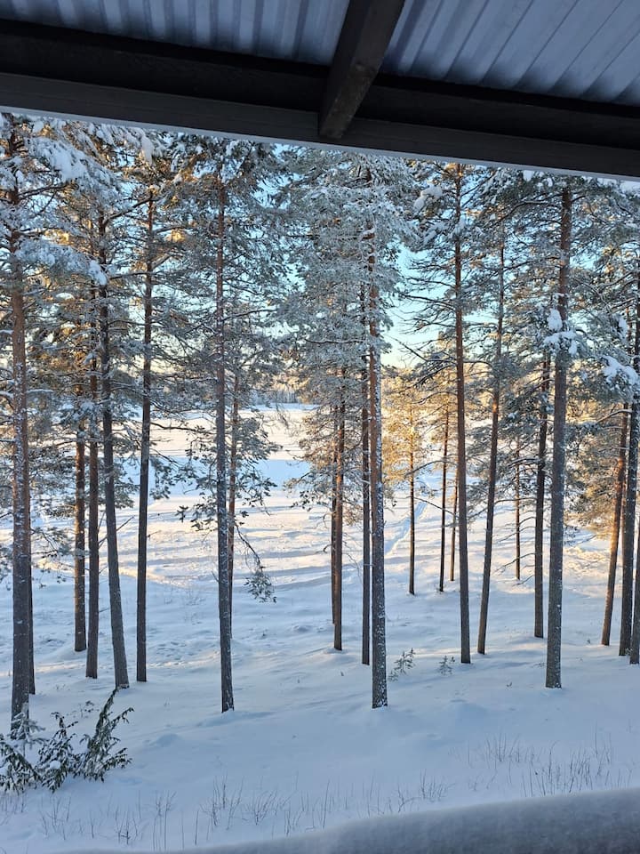 Tervetuloa Rentoutumaan Aitoon Lapin Rauhaan! - Posio