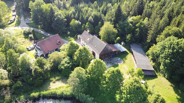 Ruheoase Am Fischbachsee: Schilf-traum, Eg 4 Pers. - Ellwangen