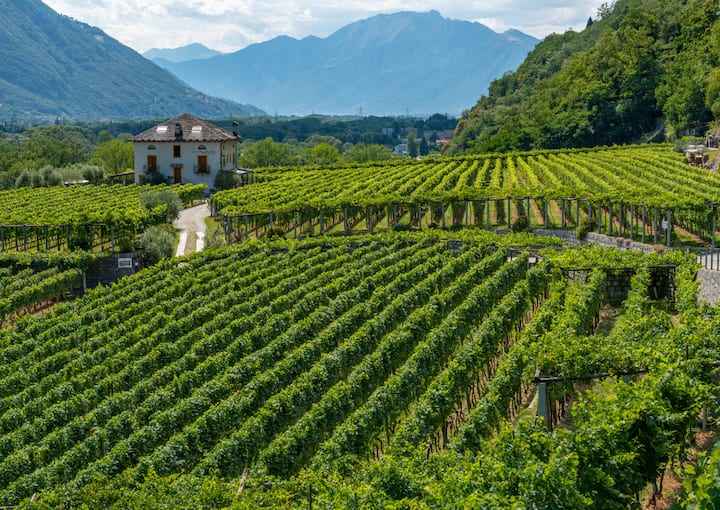 Amorosa - Rustico Suite Isabella - Bellinzona