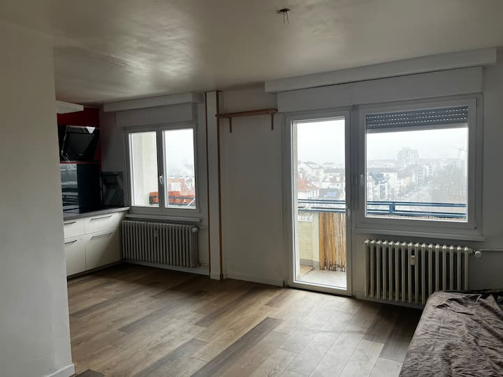 Appartement Calme Et Vu Dégagé - Strasbourg