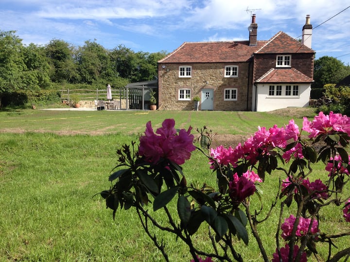 Stunning Modern Cottage, West Sussex Village - Midhurst