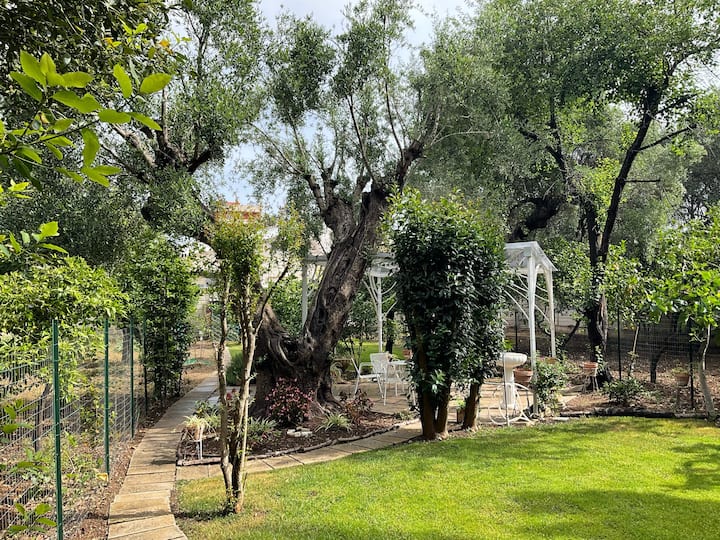 La Puglia A Casa Tua - Bari