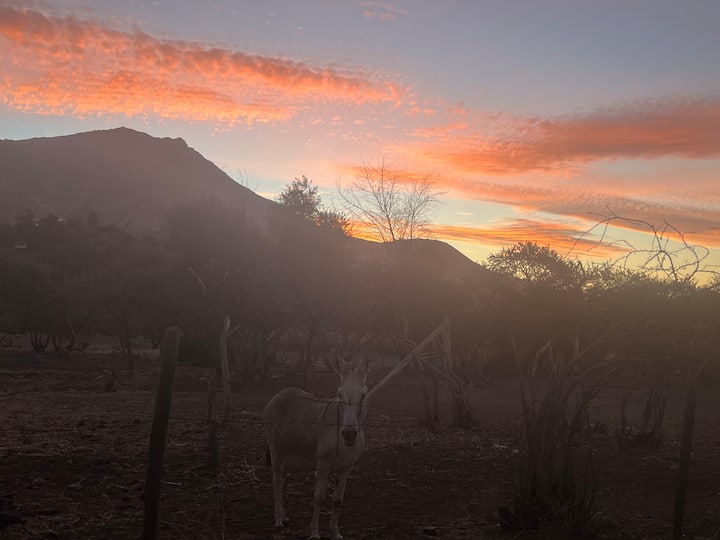 Cabaña En Pirque - Pirque
