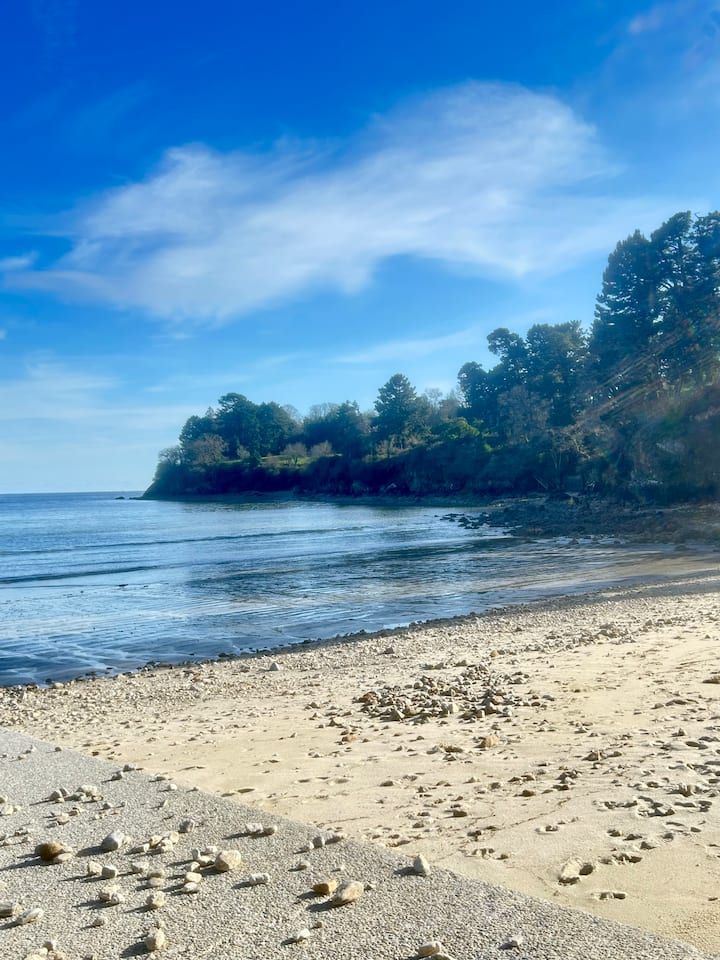 Maison Lumineuse - 50 Mètre De La Plage De Cap-coz - Beg Meil