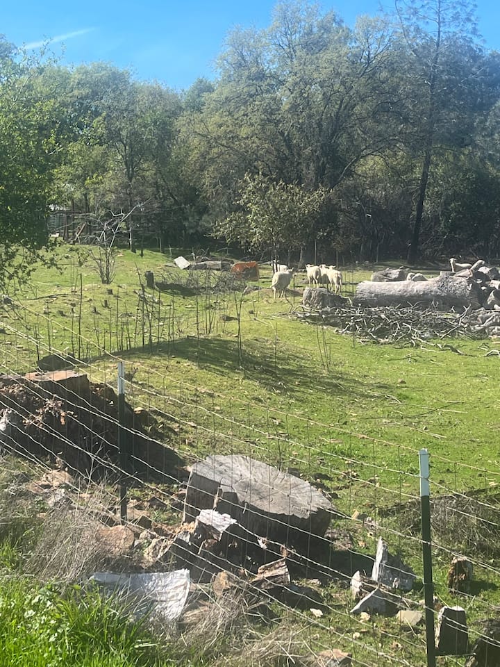 Back To Nature - 天堂