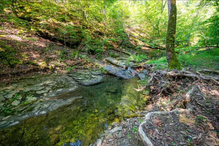 New! Play In Lukfata Creek! Hot Tub! Fire Pit! - Oklahoma