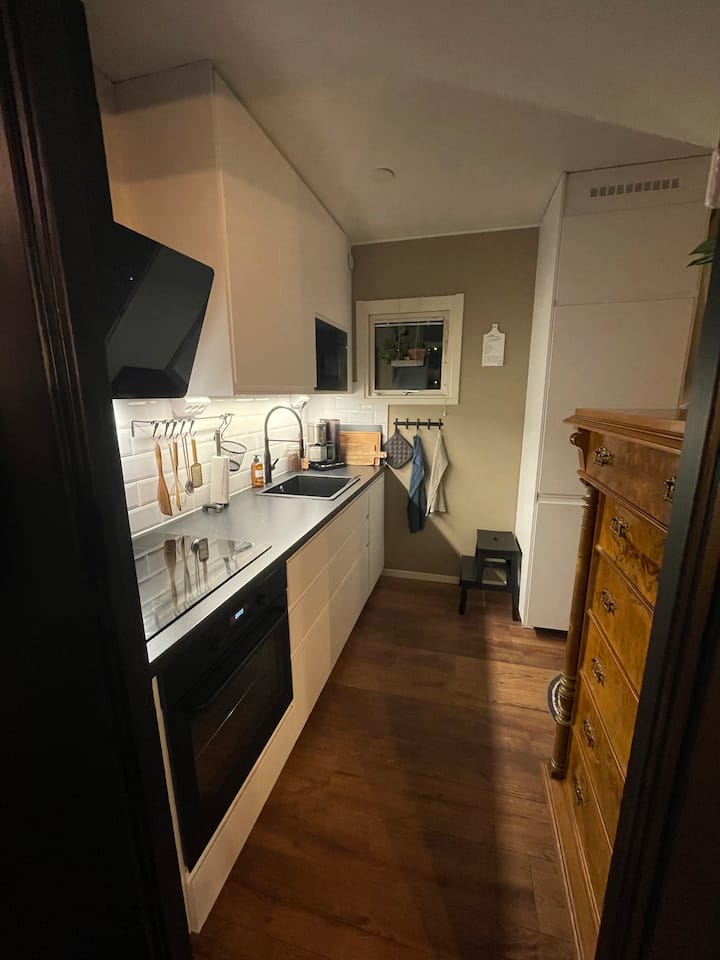 Mysig Lägenhet I Johannelund - 林雪坪