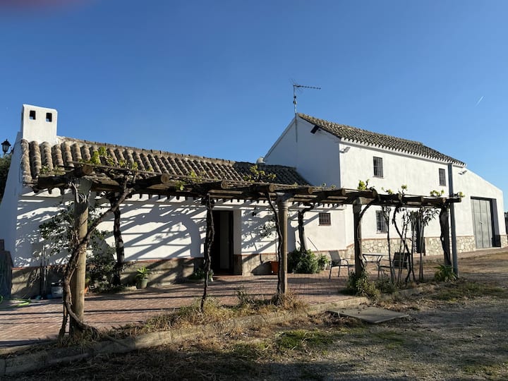Casa Loma Alcala - 阿爾科斯-德拉弗龍特拉