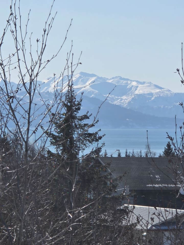 Sail Away: Private / Pet Friendly Homer Cottage - Homer, AK