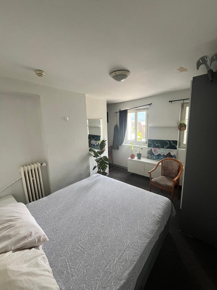 Cozy Apartment With Natural Light Quiet & Central - Flims