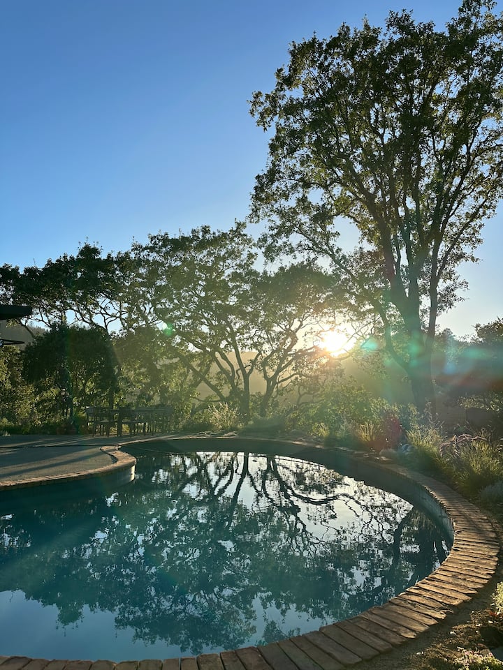 Light-filled Family Home W/ Pool & Canyon Views - San Rafael