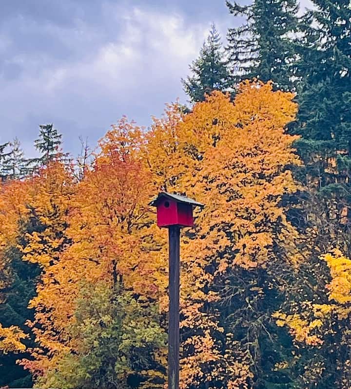 Maple Woods B And B - Lake Cowichan