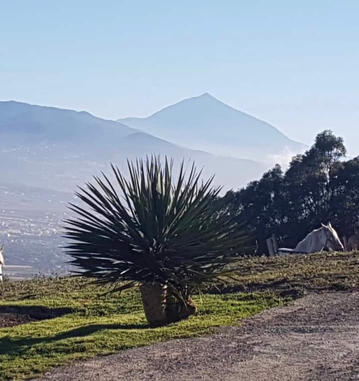 Villa Overlooking Teide - Santa Cruz de Tenerife