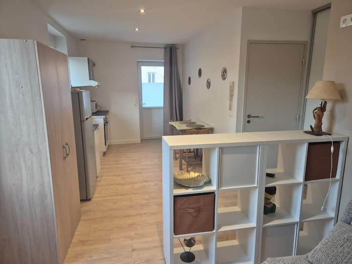 Studio Calme à Proximité Plaine De L'ain - Lagnieu