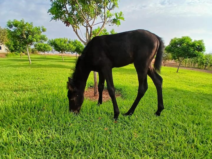 Havre De Paix Sur La Méditerranée - Nador
