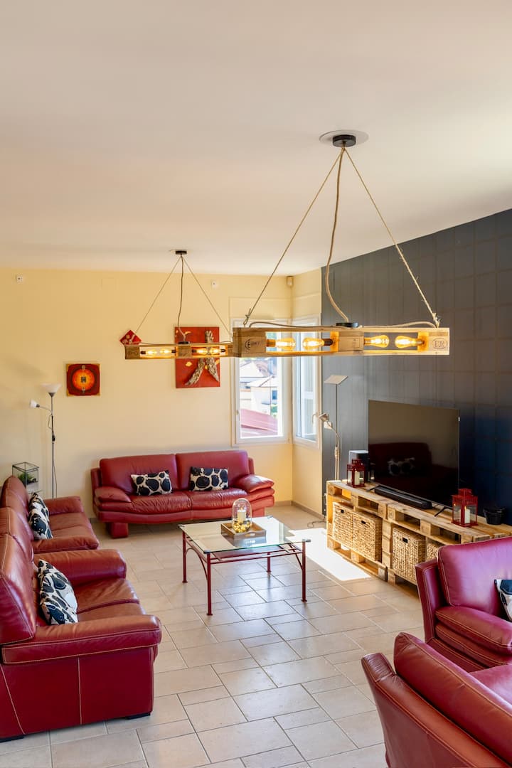 Le Chat Perché, Grande Maison Dans Les Vignes - Marne