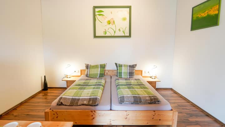 Topfit Atelier Room 1 – Green View Balcony - Passau