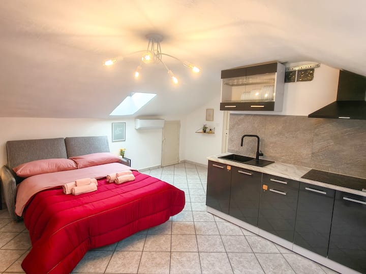 Petit Parella [10 Minuti Dal Centro] - Rivoli