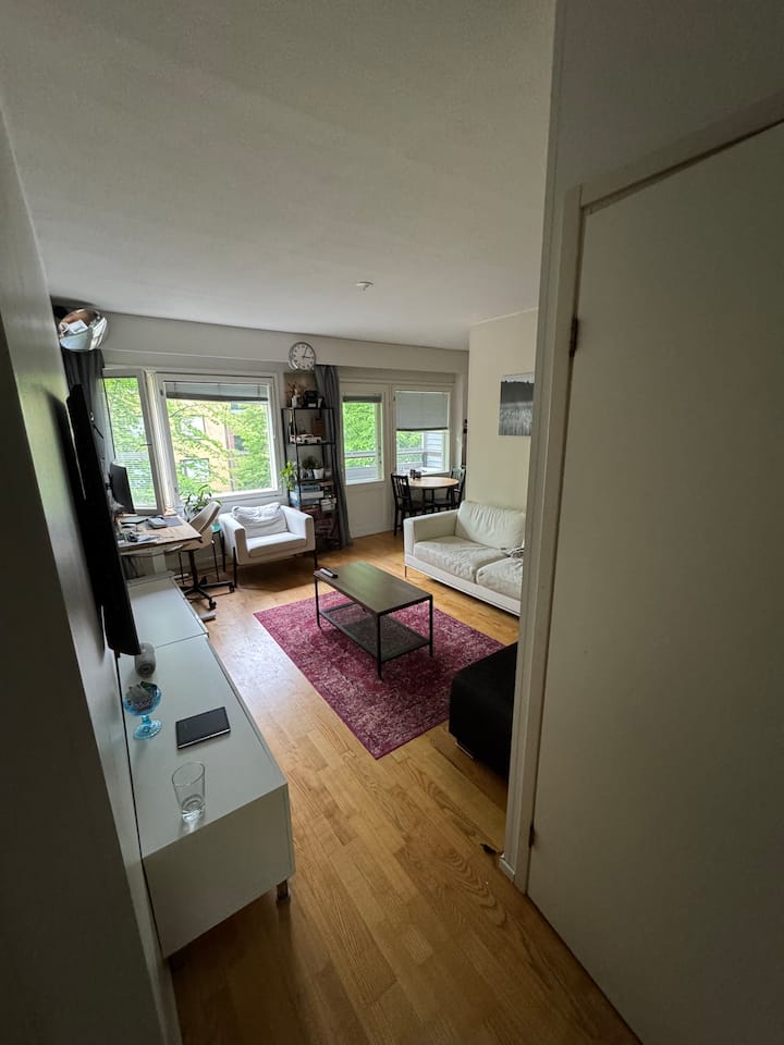 Saunallinen Kaksio Joensuun Ruutukaavalla. - Joensuu