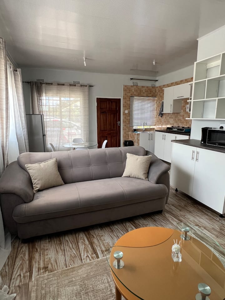 Apartment 12 - Zambie