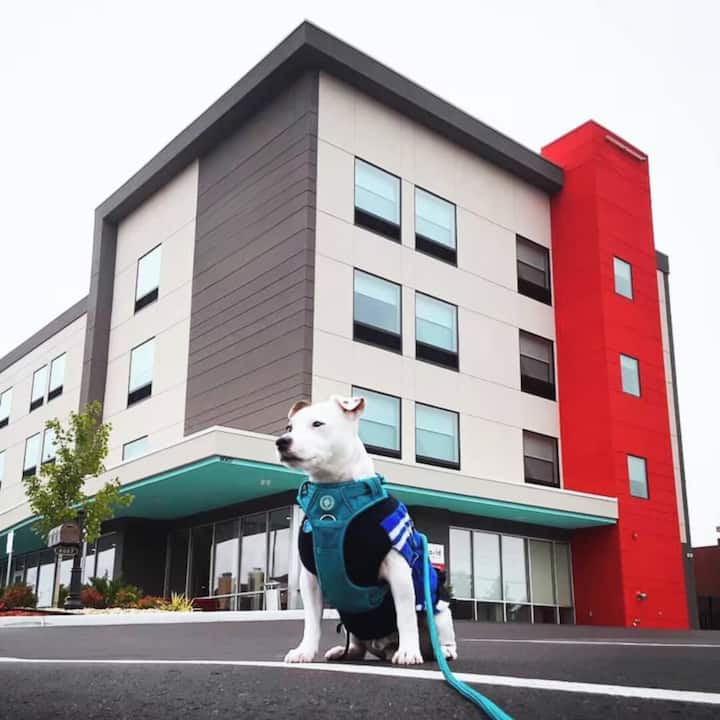 Round Rock Center, 2 Queen Studio, Gym & Breakfast - Cedar Park, TX