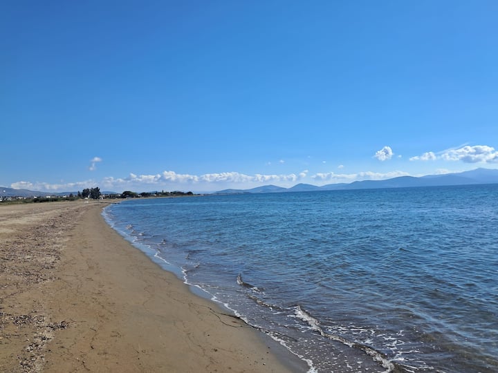 Havuzlu Site Bahçeli Villa - Dikili