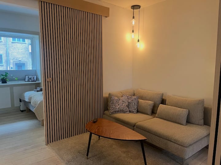 Rolig Og Stilren Lejlighed Med Nordisk Design. - Copenhague