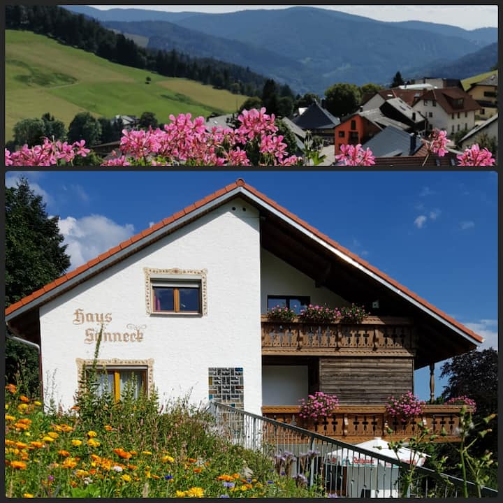 Ferienwohnung Alpenblick - Todtnau