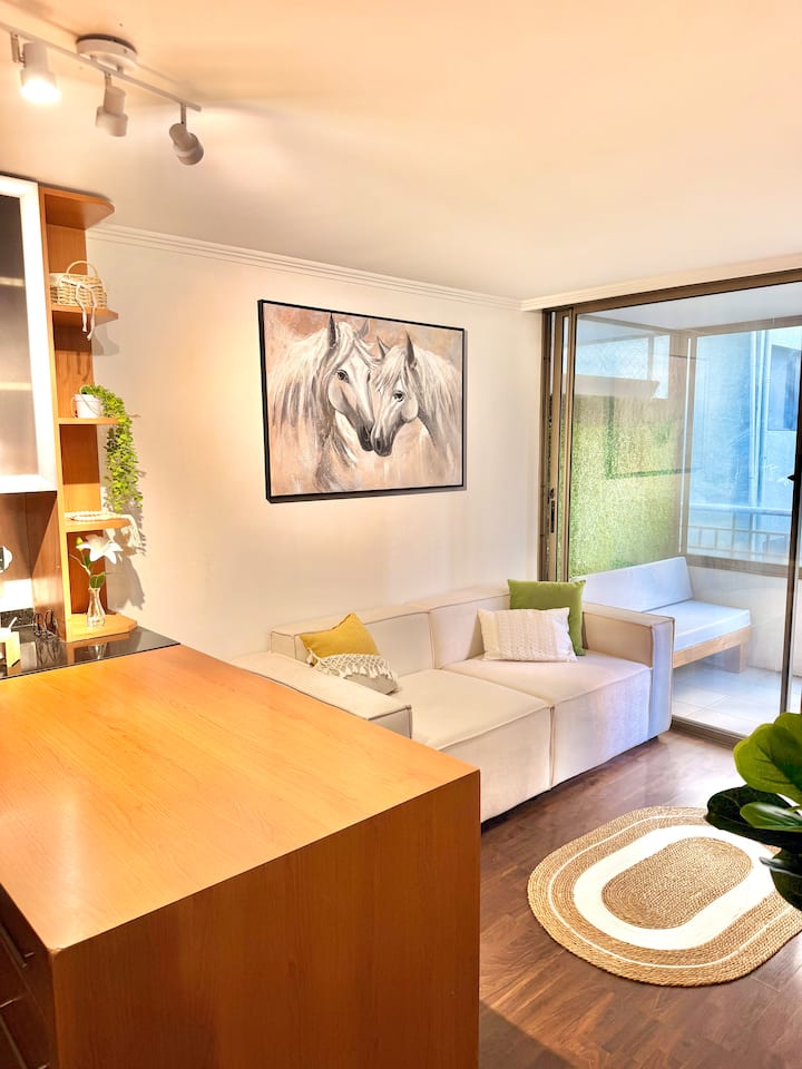 2 Dorm  Providencia - Piscina - Sky Costanera - Chile