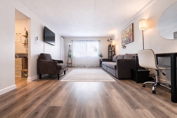 Cute Modern Studio W/ Alcove, Parking Available - Arlington, MA