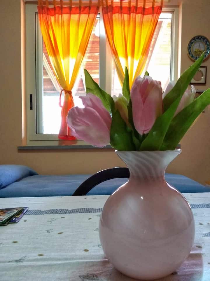 A Casa Di Norma - San Teodoro, Sicily