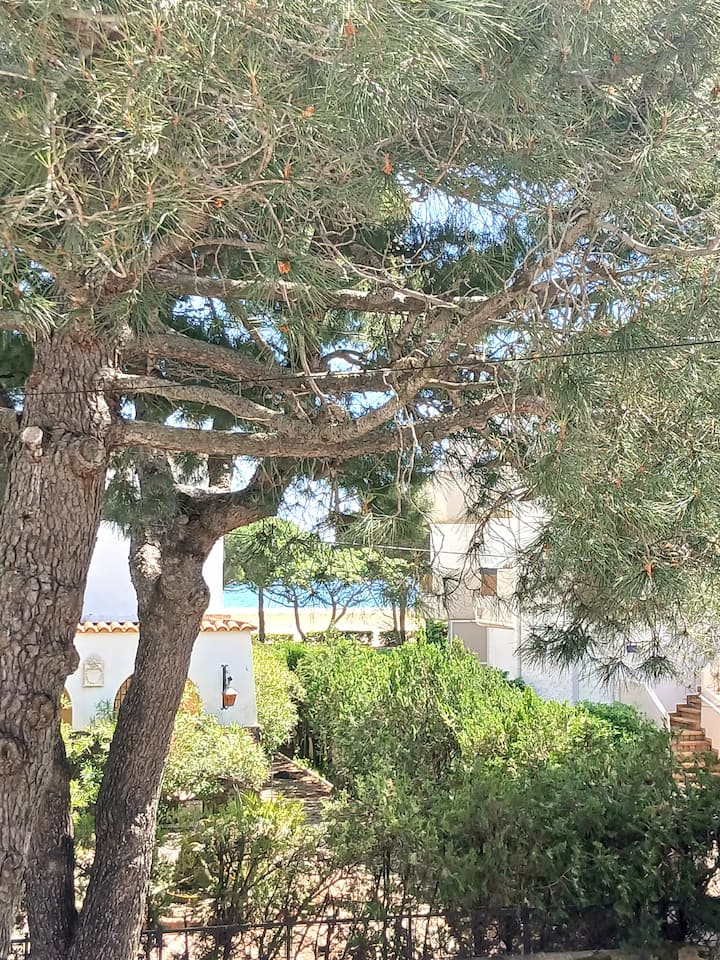 Les Pins – T2 – Accès Plage – Parking, Clim. - Plage du Racou