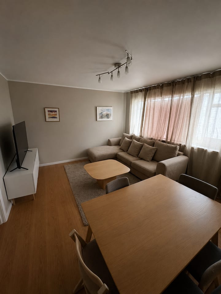 Cozy Apartment (Sólheimar) - Reikiavik