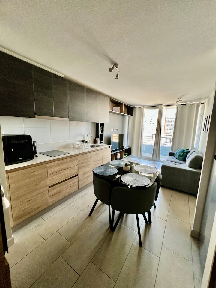 Hermoso Depa. Cómodo Y Familiar. Seguro Y Céntrico - Santiago