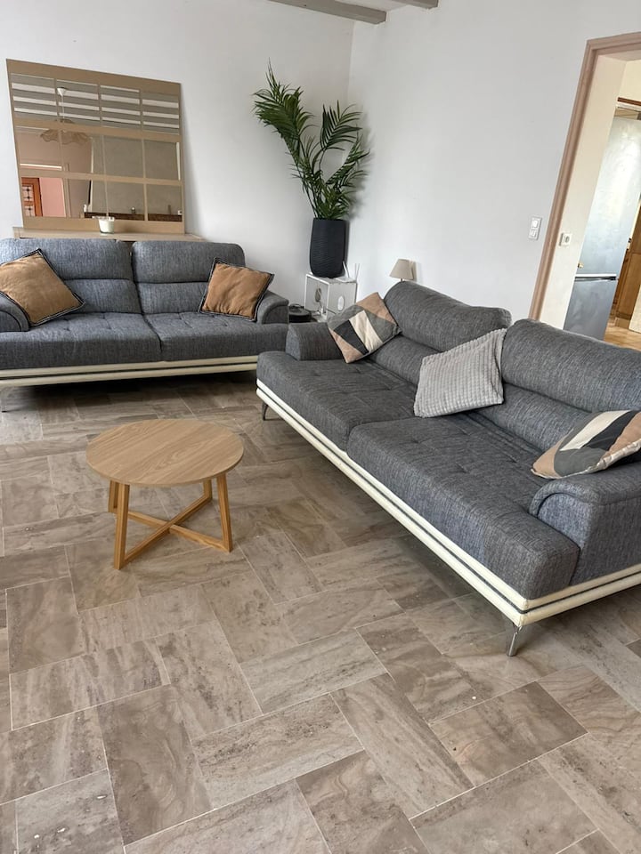Maison (140m²) Avec Jardin Arboré (1700 M²) - Agen