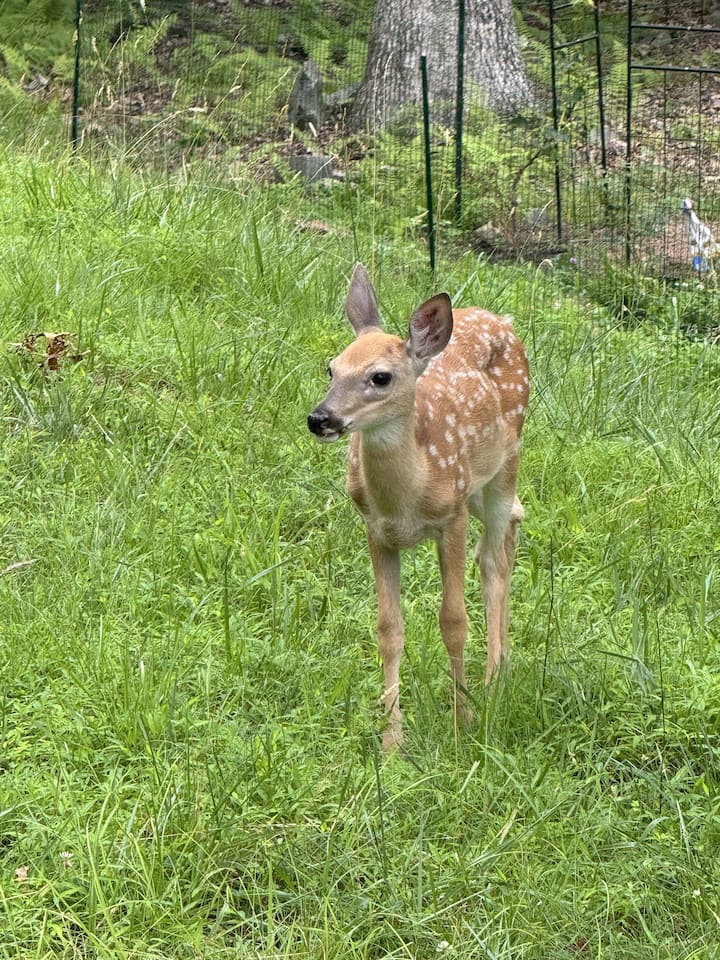 Sublim Tranquility For Mind And Body - Crater Lake, Layton