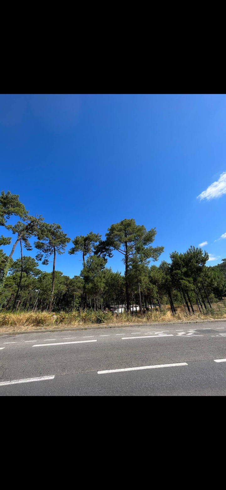 Logement « Comme Un Cocon » - Anglet