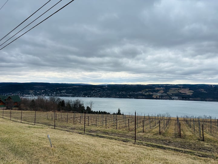 *Luxury Retreat *Mins To Wineries & Watkins Glen - Watkins Glen, NY